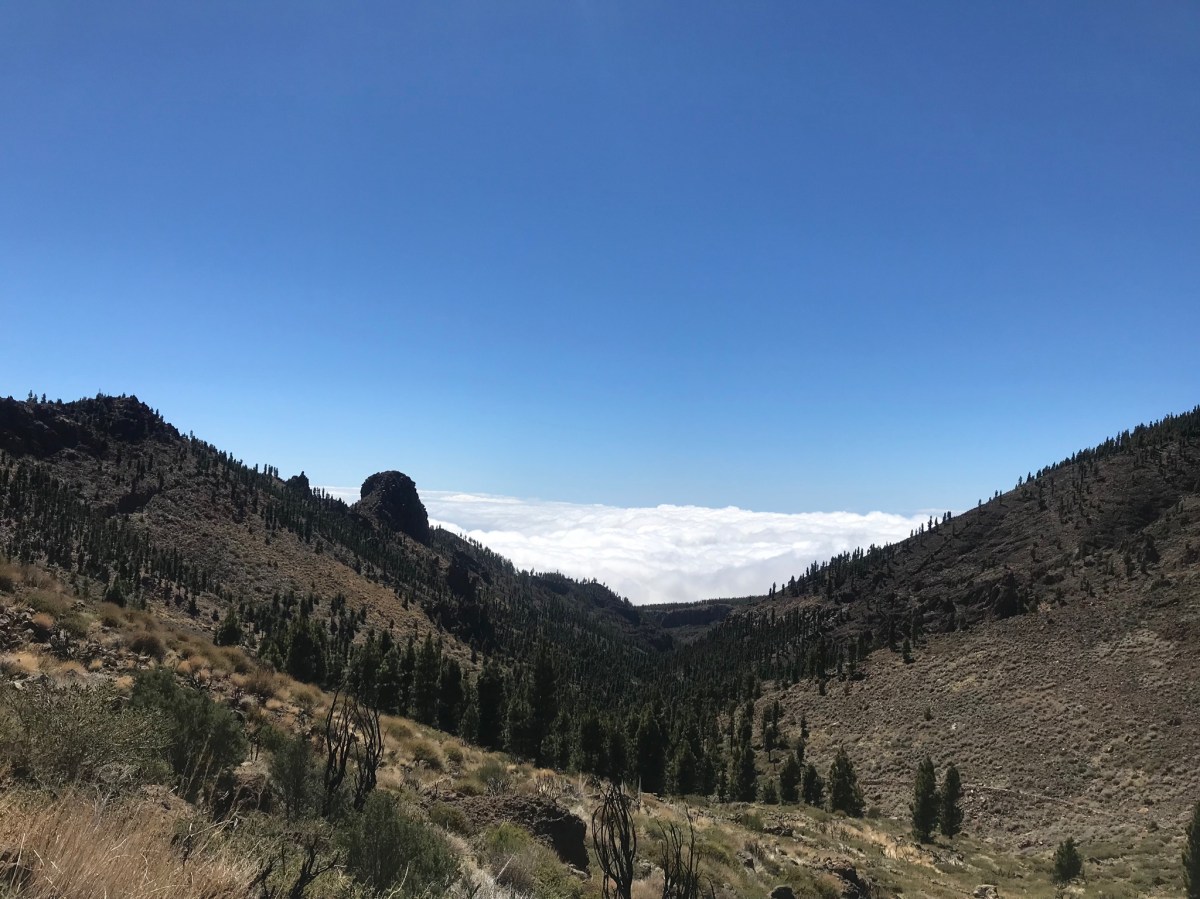 Catching up with old friends and a mountainous experience – Pedalitis